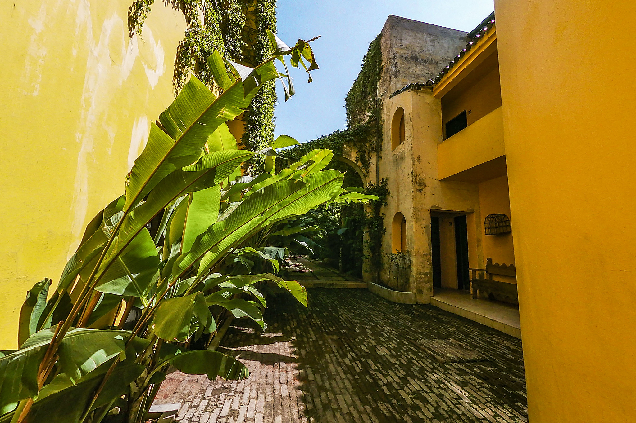 ¡Conoce la Colonia Americana, una joya cultural de Guadalajara! - PÉEK